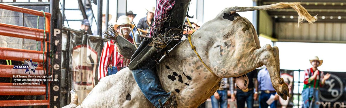 Bull Contractors | Bull Teams