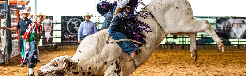 Registered Bull Riding Teams | Bull Teams