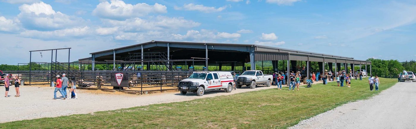 Honoring the Legacy of Bull Riding and Community | Bull Teams